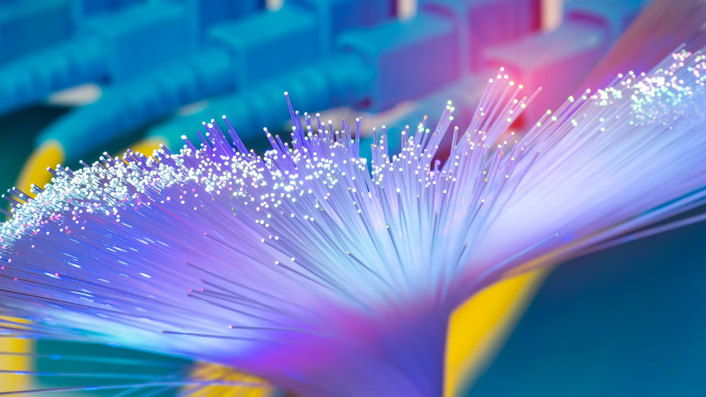 Backbone Fibre Optique